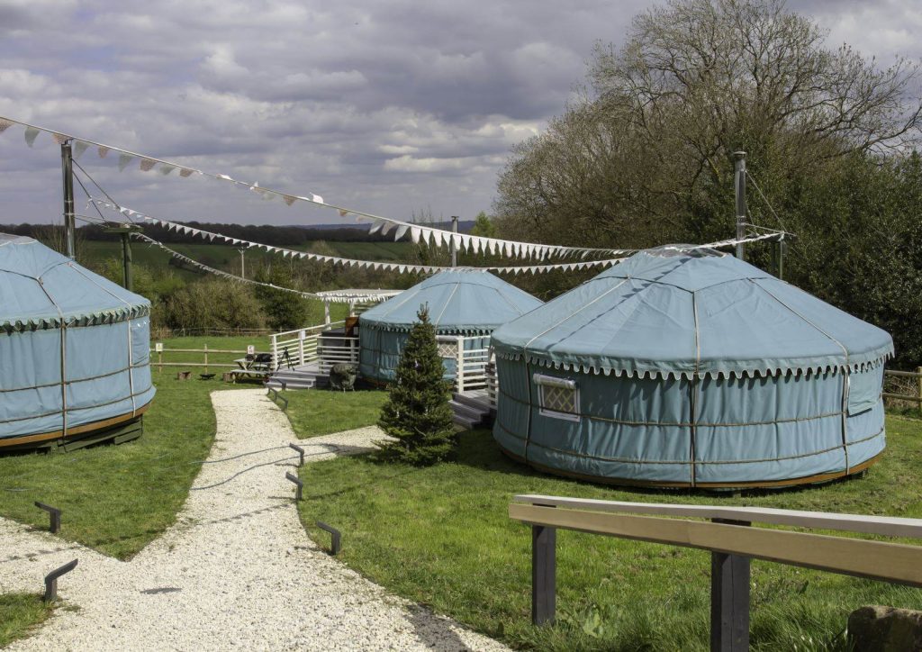 Mighty Oak Yurt - Spire View Yurts